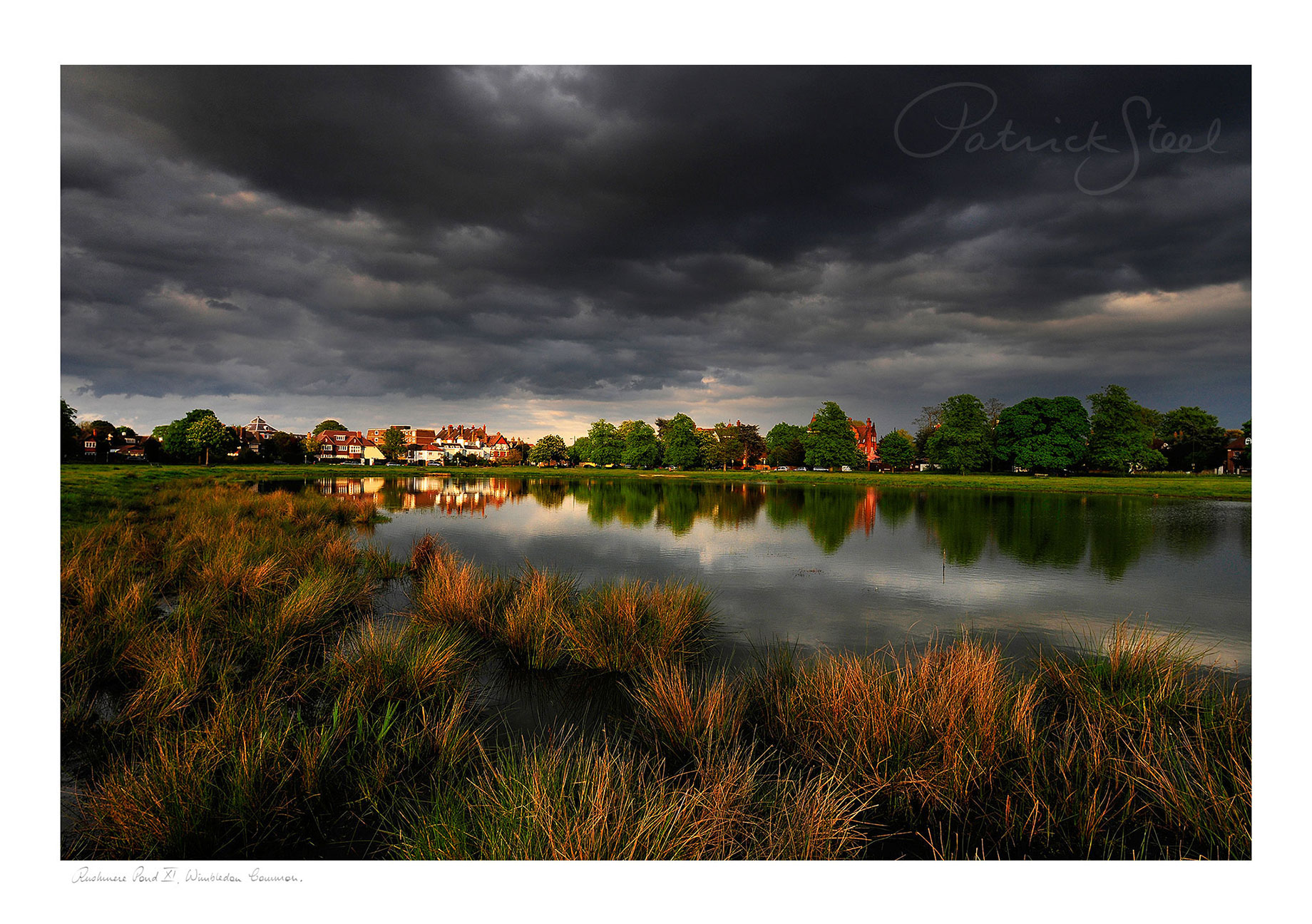 RUSHMERE POND XI, WIMBLEDON COMMON | LIMITED EDITION PHOTOGRAPH ...